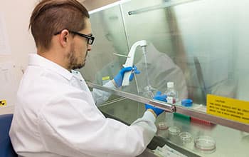 Versiti - Hybridoma | Shared Core Facilities | Versiti Blood Research ...