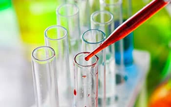 Versiti - Bonnie Dittel Laboratory | Versiti Blood Research Institute